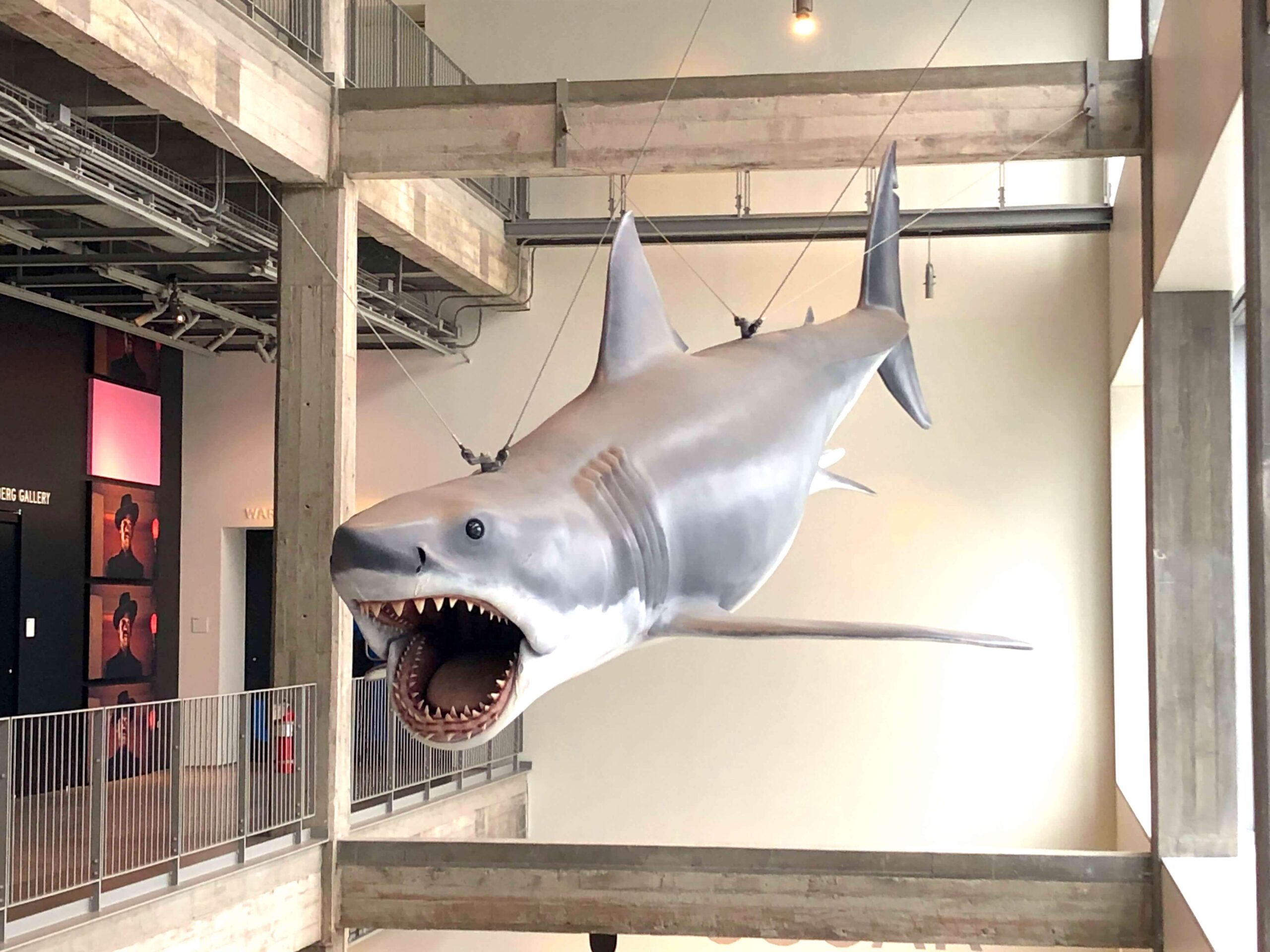 Explore Movie Magic at The Academy Museum